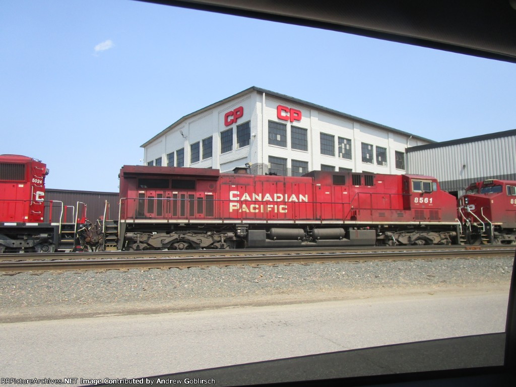CP 8561 3